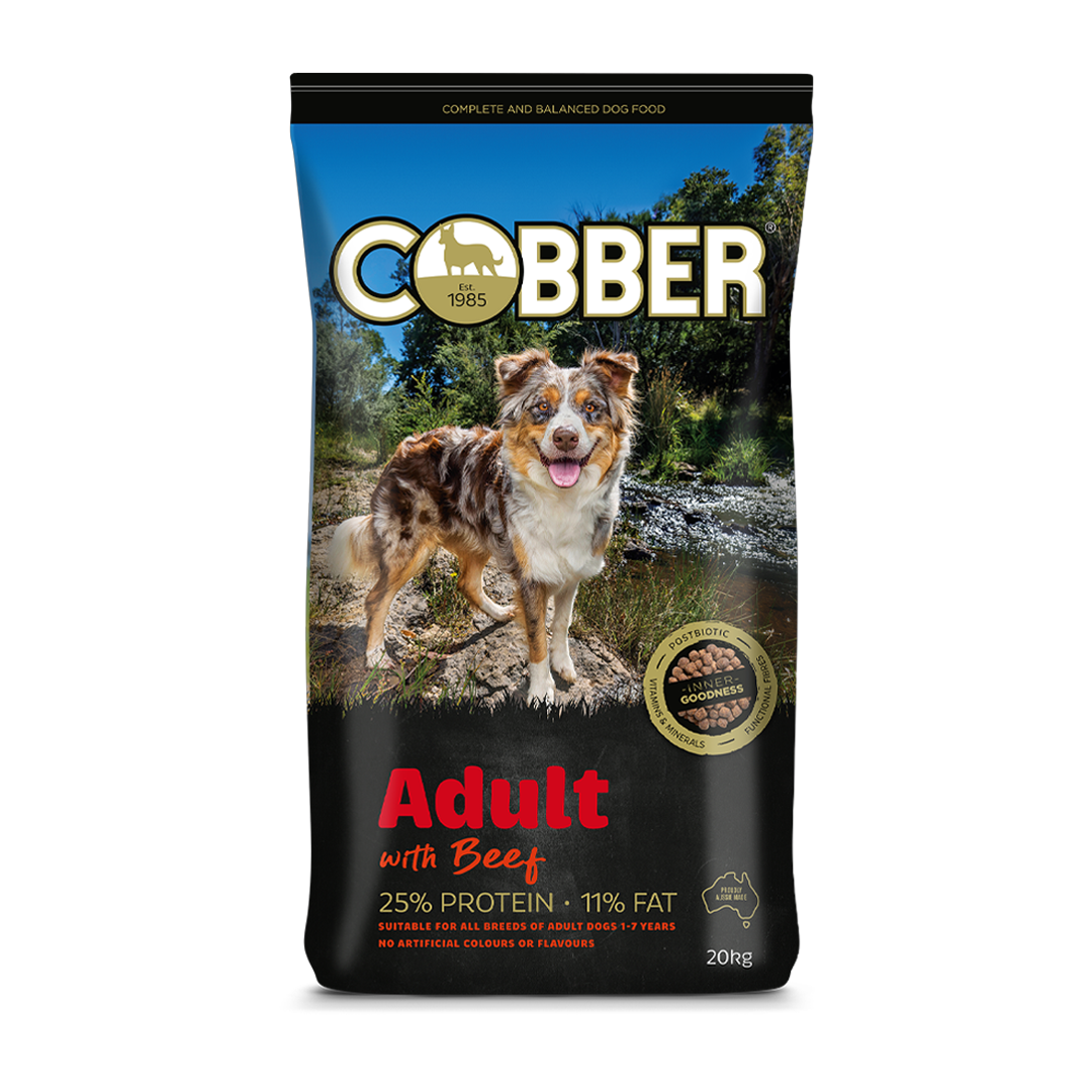 Cobber Adult with Beef 20kg