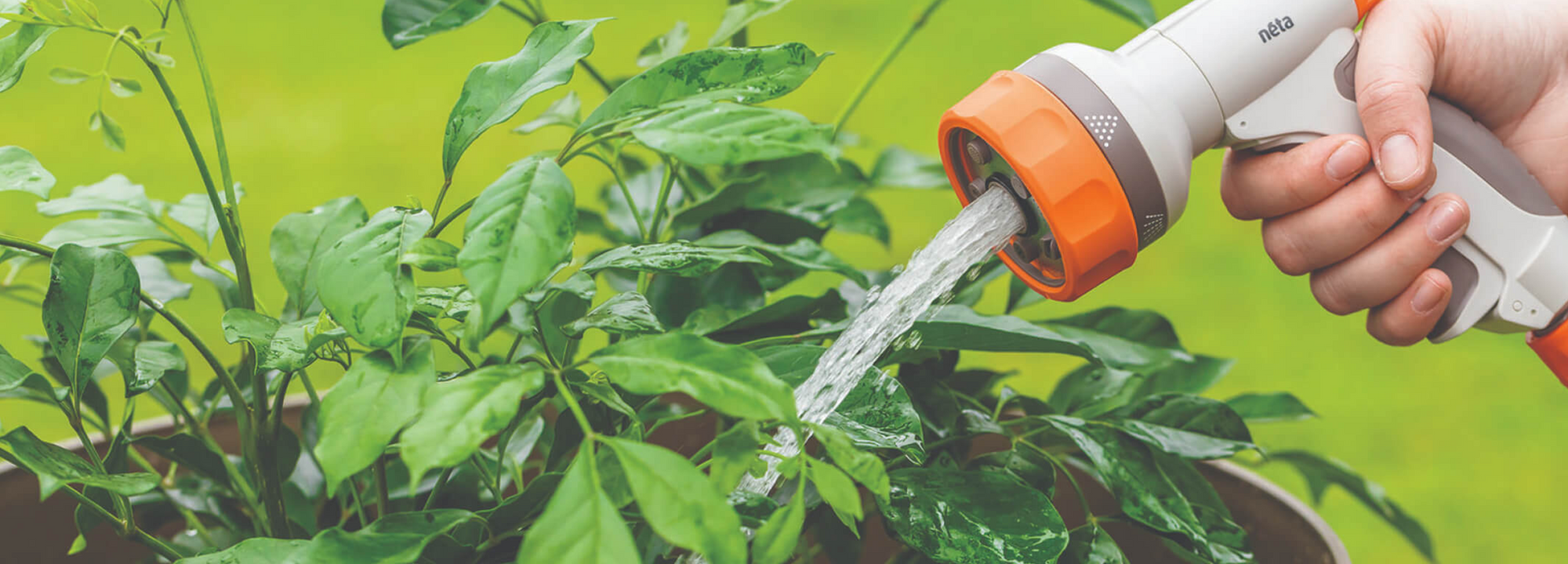 NETA: Garden Watering Systems & Irrigation Supplies | Shop Online & Instore